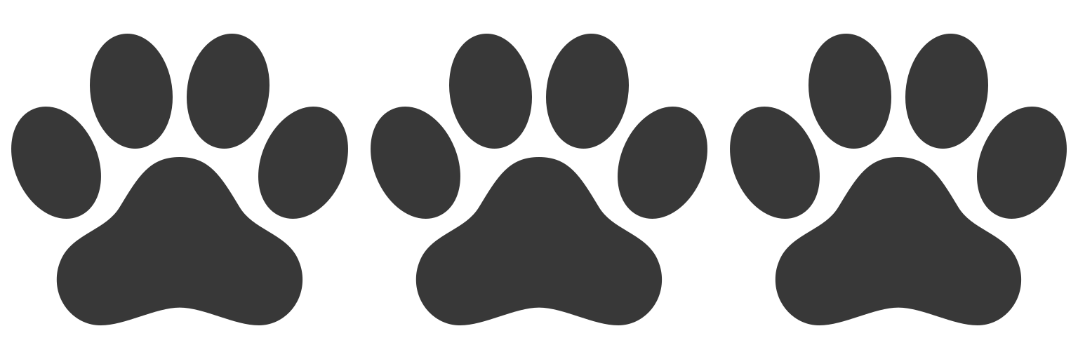 Dog Training in San Antonio, TX | All Around K9